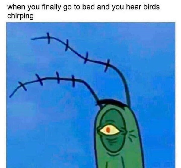 Memes for the sleep-deprived, which means pretty much all of us