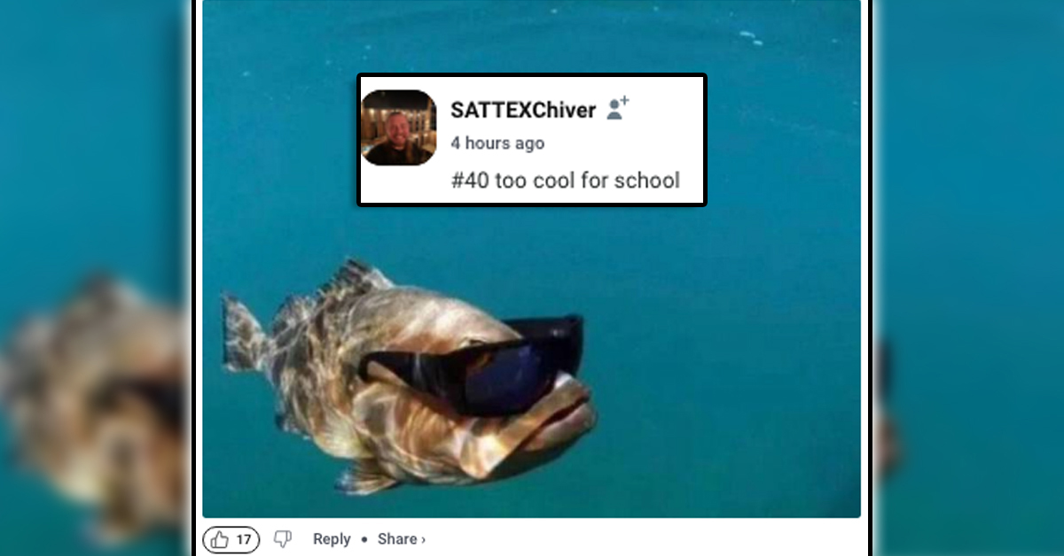 Top Comments are all geared up for Game Time!