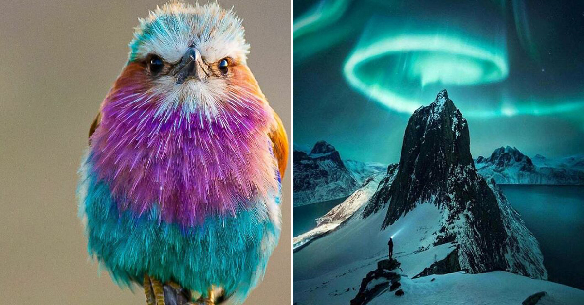 I'll just say it: Nature is awesome.