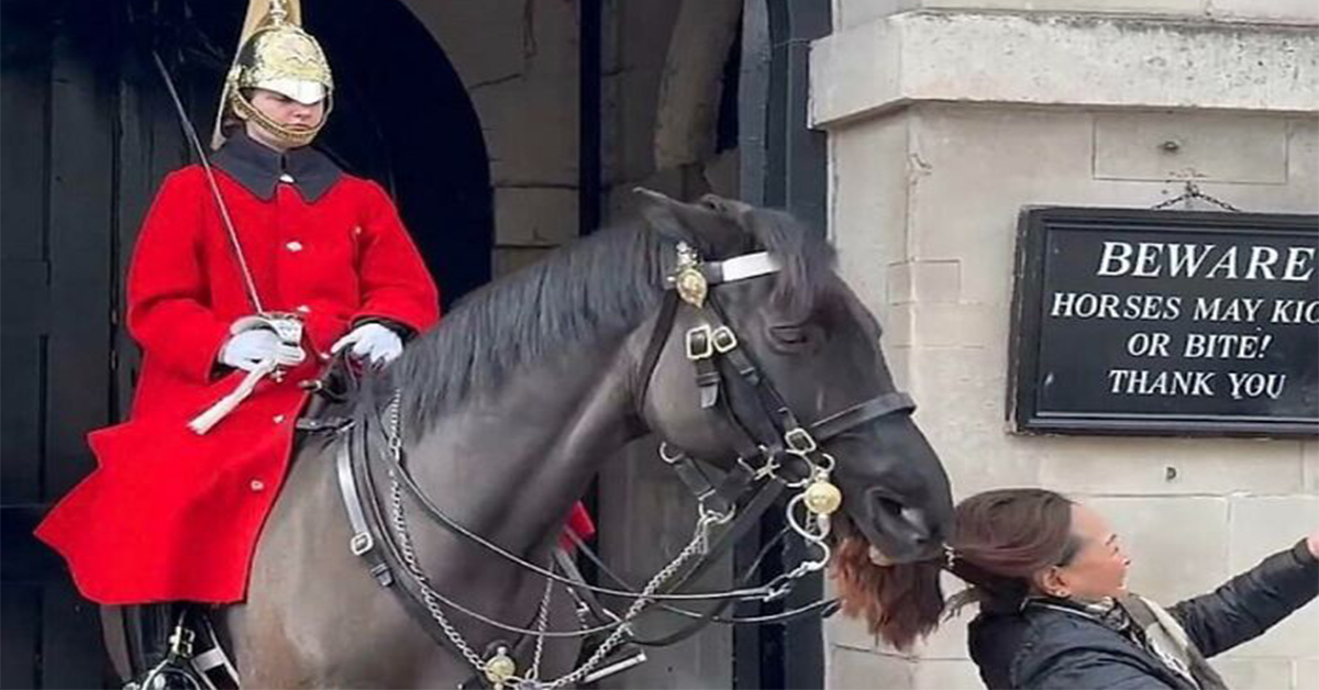 British life is a bit of a laugh, innit?