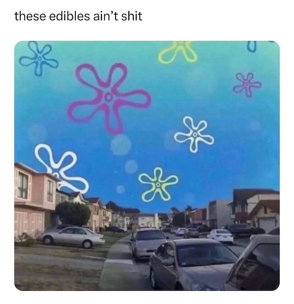 Weed memes to soak in with red eyes while sitting on a comfy couch