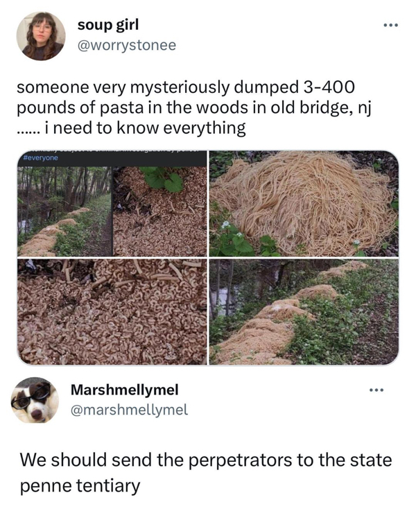 Gather round, the jokes are rich and plentiful