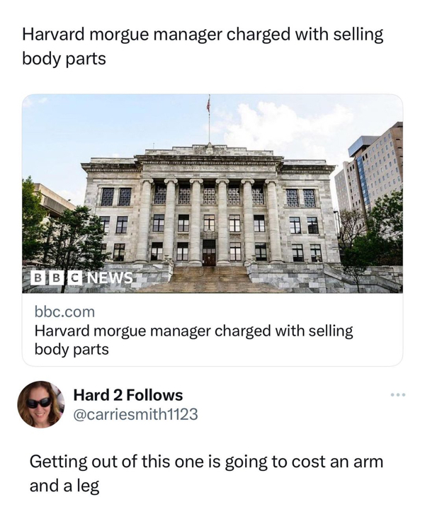 Gather round, the jokes are rich and plentiful