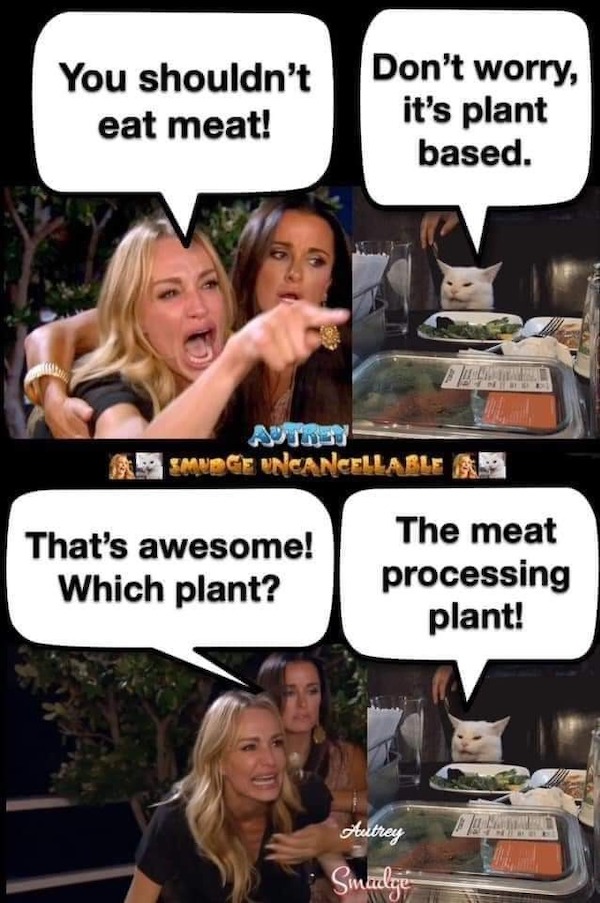 NAILed IT Memes Photos Best 2023 Mindless Dumb Logic Best Captions Pic