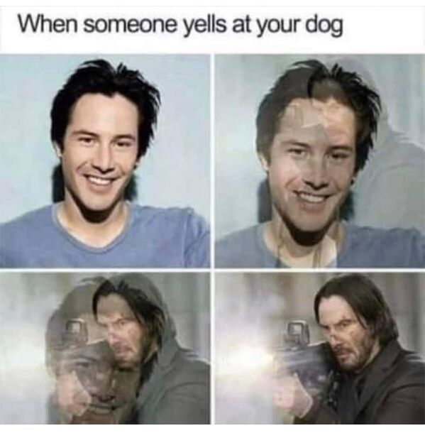 Who Let the Dogs Out?