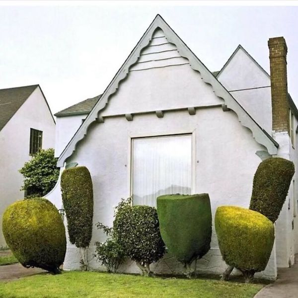 The good, the bad, and the terrifying world of gardening