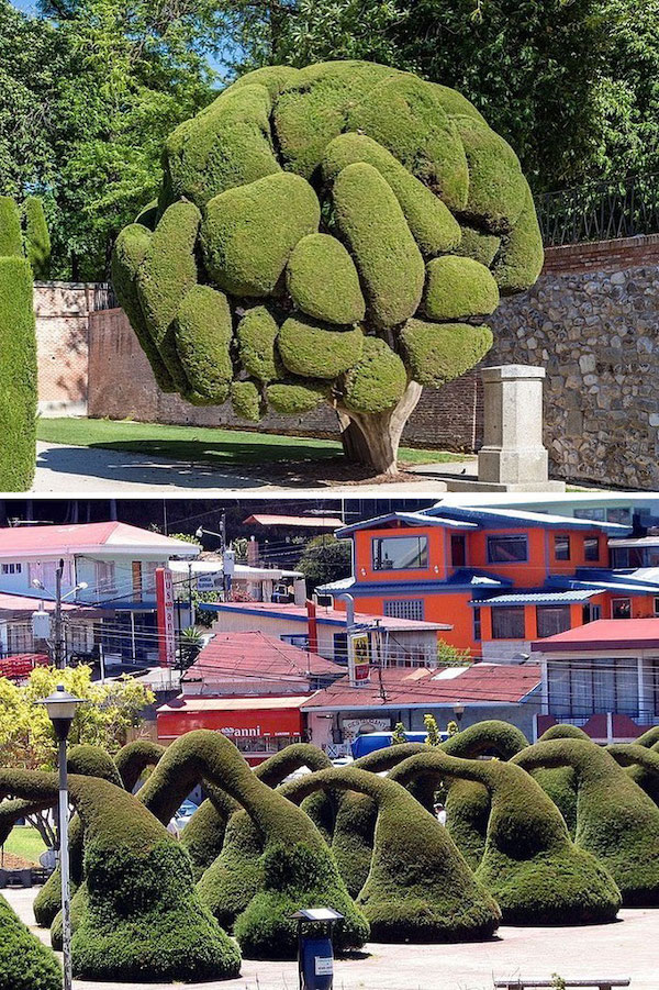 The good, the bad, and the terrifying world of gardening