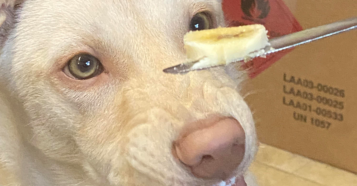 theCHIVE - Funny Pictures, Photos, Memes & Videos – theCHIVE.com