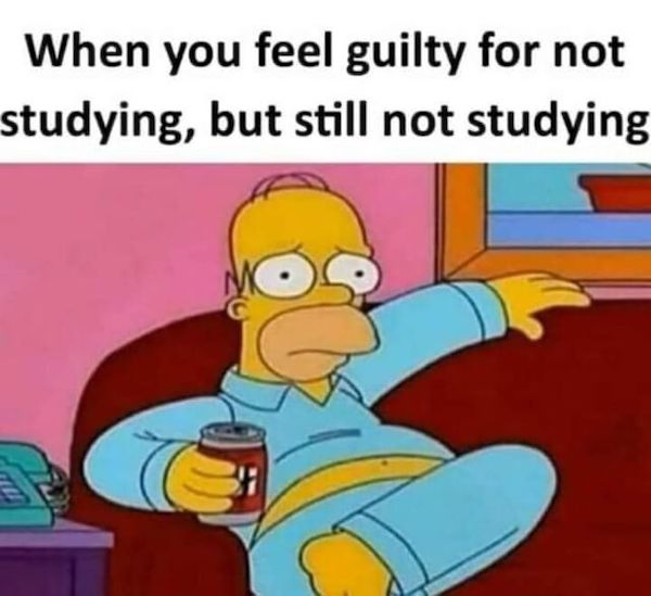 These memes *might* have *some* educational value