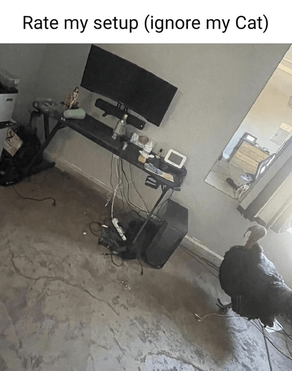 There's nothing logical about any of this nonsense. We're all confused