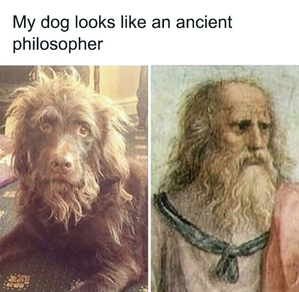 Funny lookalikes are causing double the laughs