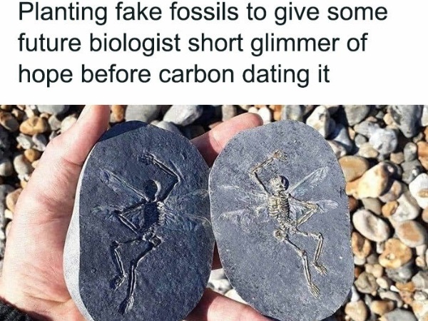 These Memes Make Me Feel Smart (Photos)