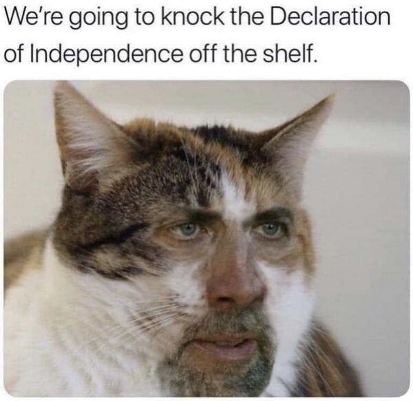 Saturday’s Are the Cat’s Meow