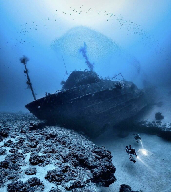 Crazy and creepy things found in the depths of the ocean.