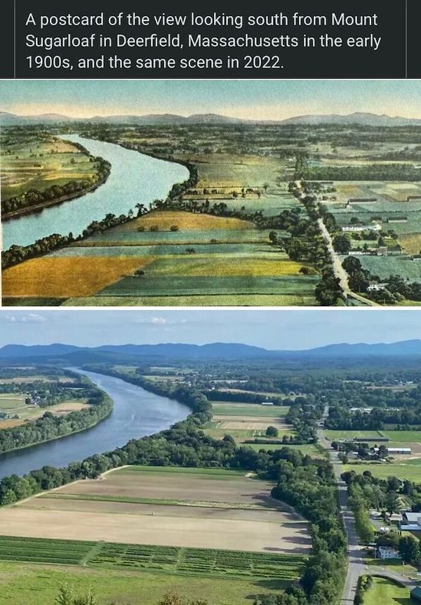 Then & now pics show how much the world has changed