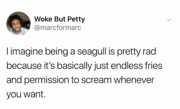 Golden Tweets that were absolutely perfect. Xs ahead