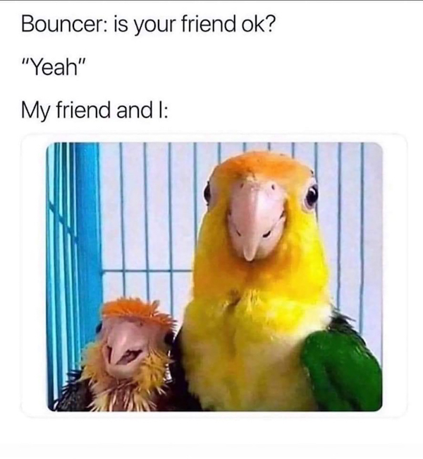 Funny memes that are too accurate for our own comfort.