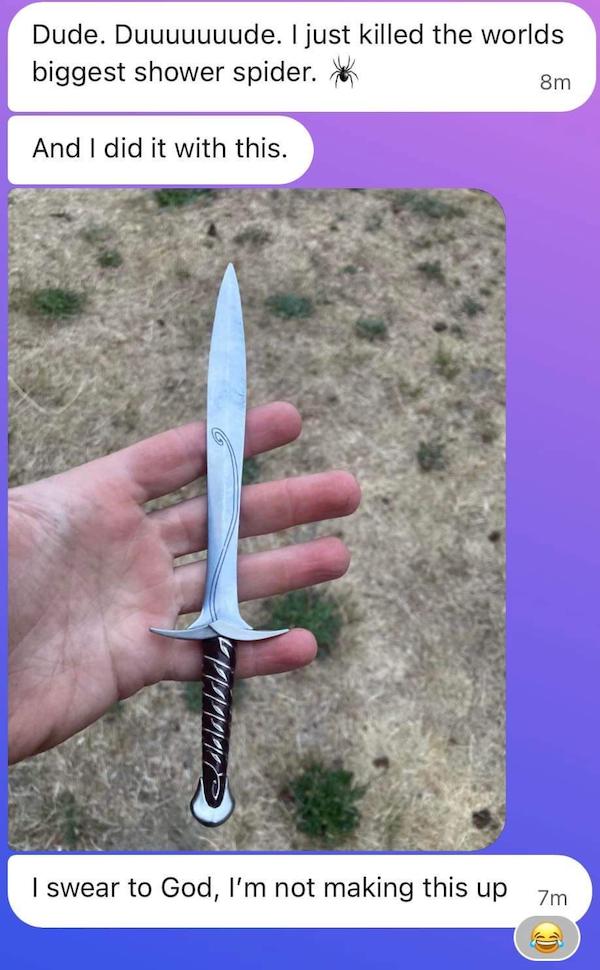 Misunderstood Spider Meme Shower