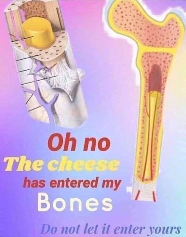 Mac 'n CHEESY Morning Memes Photo Captions Work Sucks