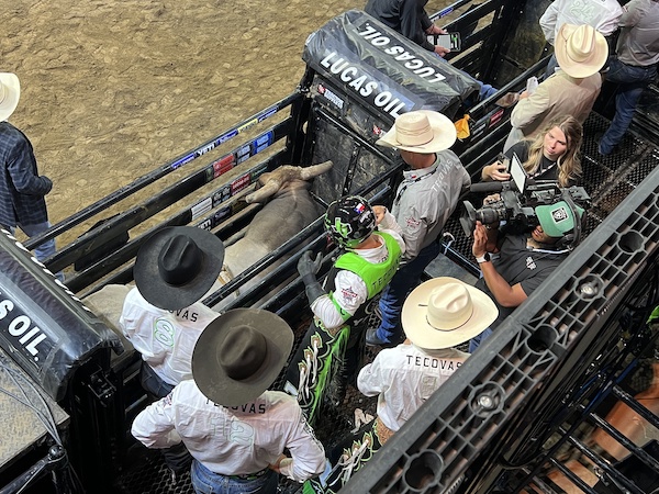 Professional bull riding is as exciting as it gets