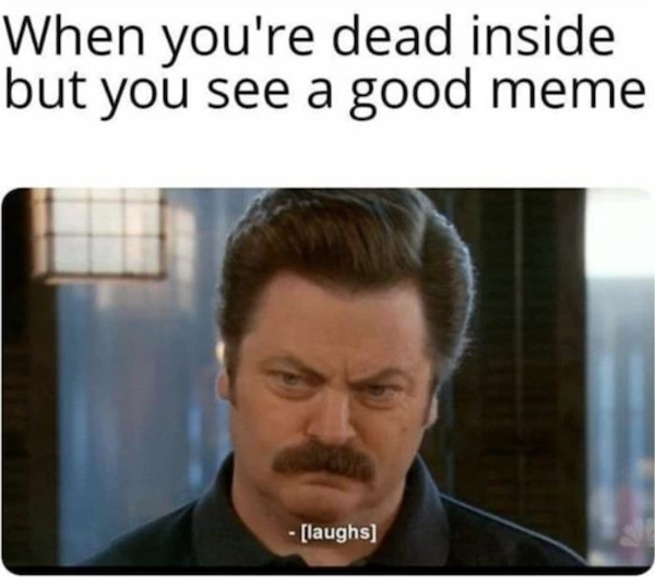 Mind-LESS Memes Best Stupid Funny Logic Photo Caption 2023 Pictures