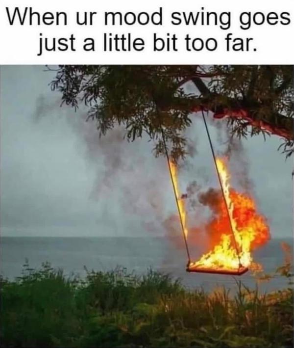 Mind-LESS Meme Best Stupid Funny Logic Photo Caption 2023 New Pictures