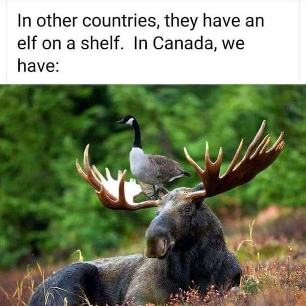 Canada memes to go with maple syrup and other stereotypes