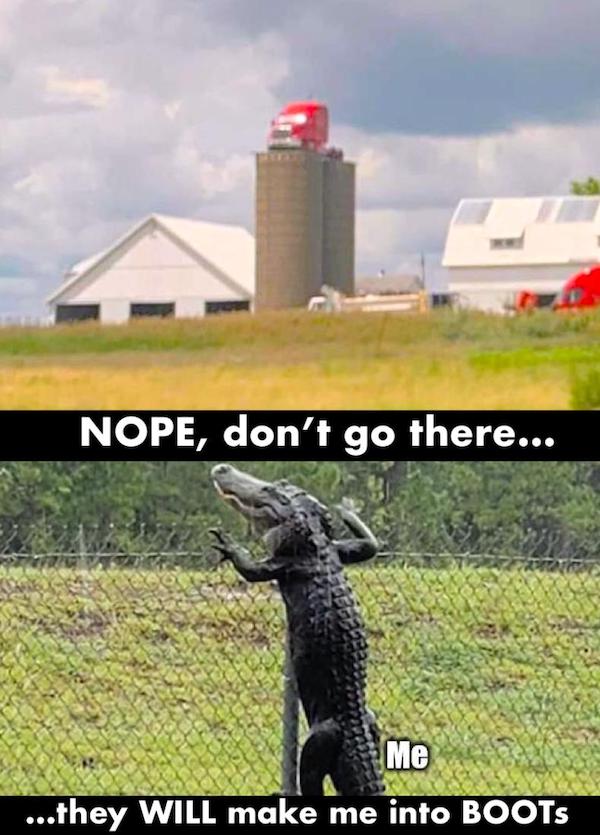 Redneck DIY Ingenuity Photos Crazy Country Funny Ideas GIFs