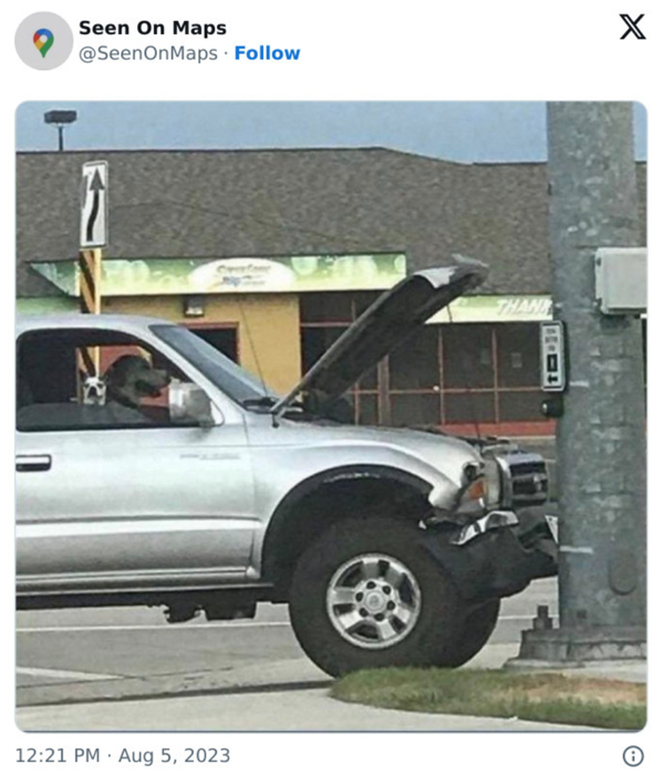 Google maps pictures that will cause severe rubbernecking