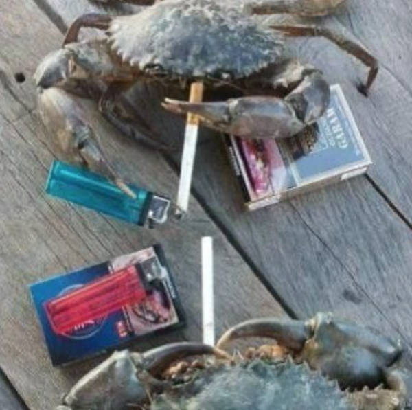 The randomness of life, as shown in the funniest ways possible