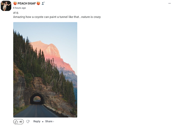 Top comments of the week are worthy of the internet's attention.