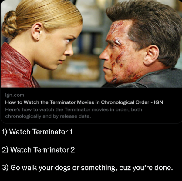 Terminator Movie Memes and Funny T2 GIFs Best Action Flick List T-1000