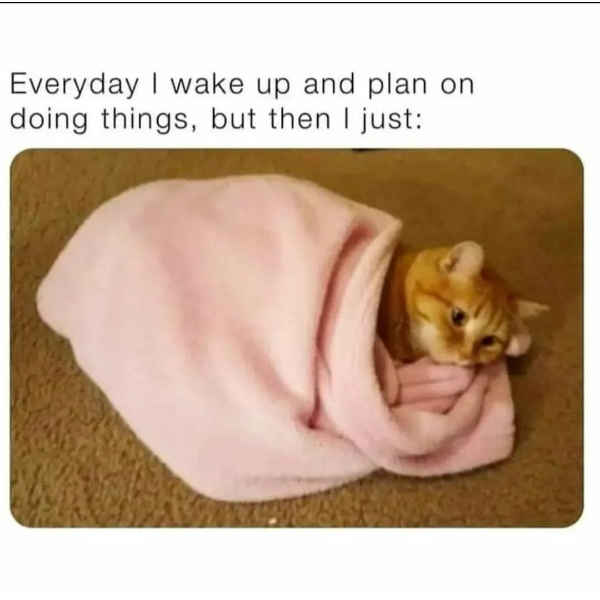 Memes Anyone With ADD Can Relate To