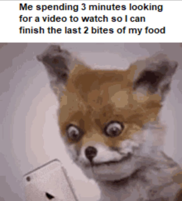 Memes Anyone With ADD Can Relate To