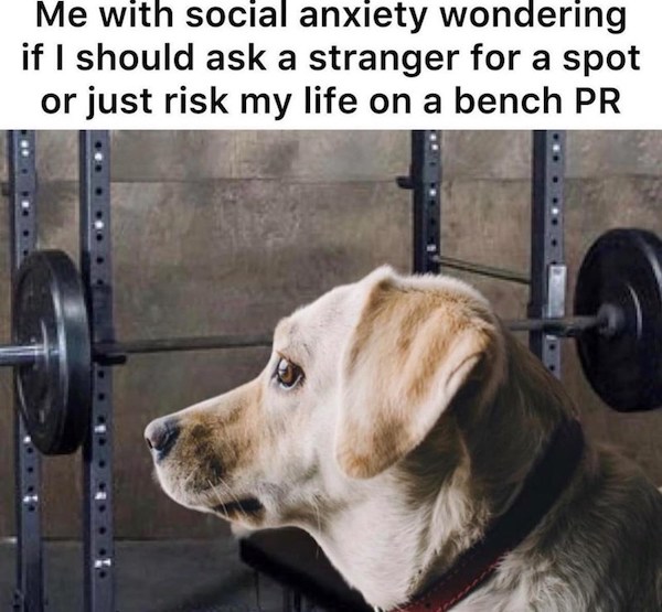 Gym themed memes worth bulking up on!!