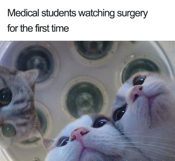 Dr Memes To Check Up on Your Funny Bone