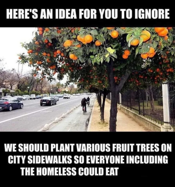 Pure & Cringe Wisdom as Shared by the Internet