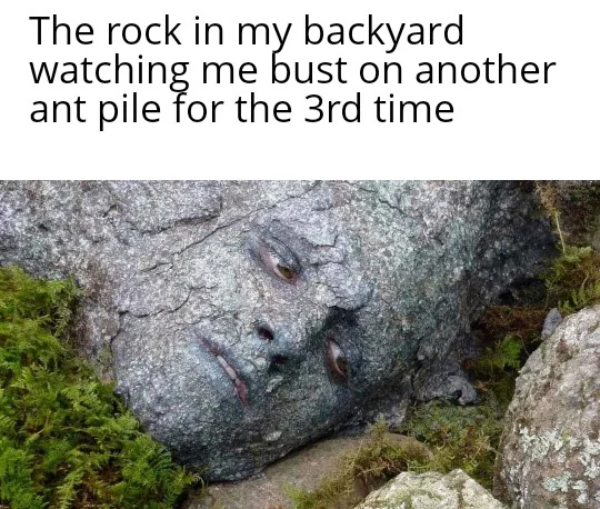 Dive Directly Into the Dank Meme Pool