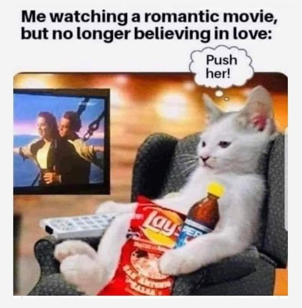 Lights, Camera, Action, Memes!!! (30 Photos)