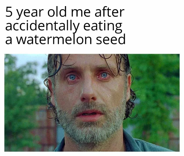 Dive Directly Into the Dank Meme Pool