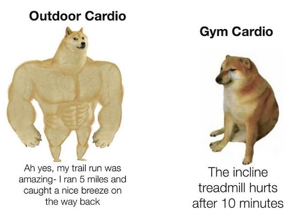 Gym themed memes worth bulking up on!!