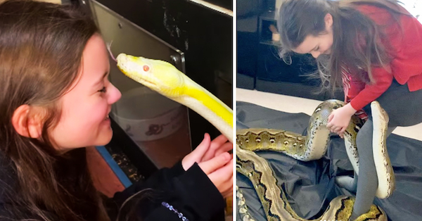 Dad lets daughter play with pet pythons