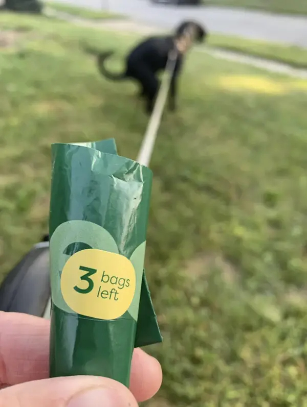 Design Wins Are Simply Amazing