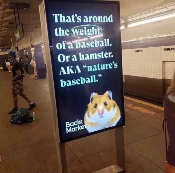 Haha That’s Great... WAIT!!!