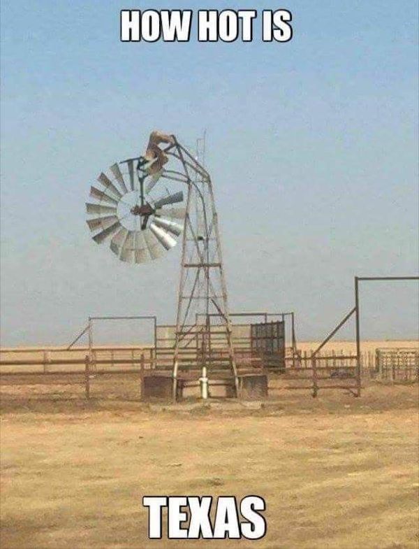 Texas memes prove that no one does it quite like the Lone Star state