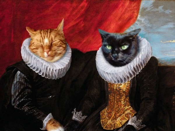 Cats All Over the Damn Place