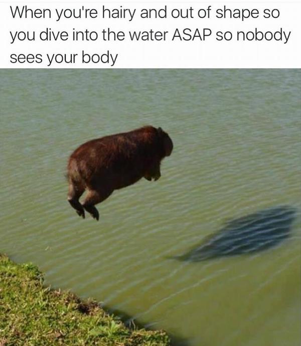 Cheesy Memes Funny Monday Morning Work Sucks Photo Captions List Humor