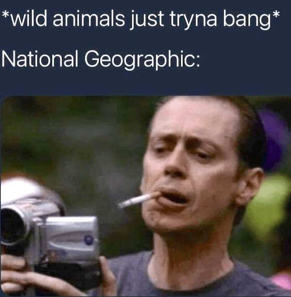 Cheesy Memes Monday Work Sucks Funny Photo Captions Best New List 2023