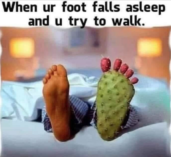 Cheesy Memes Monday Work Sucks Funny Photo Captions Best New List 2023