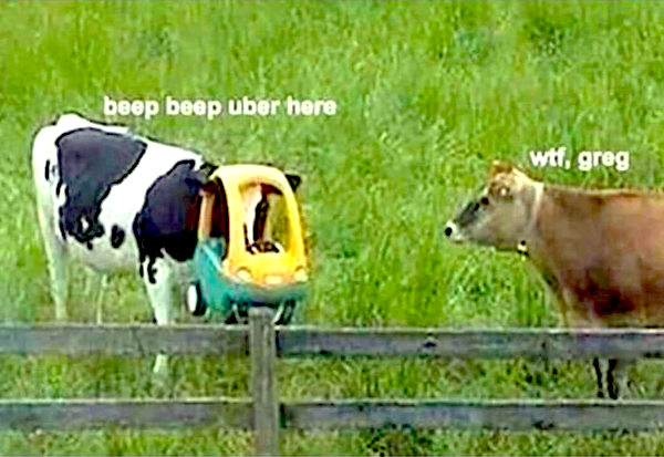 Cheesy Memes Monday Work Sucks Funny Photo Captions Best New List 2023